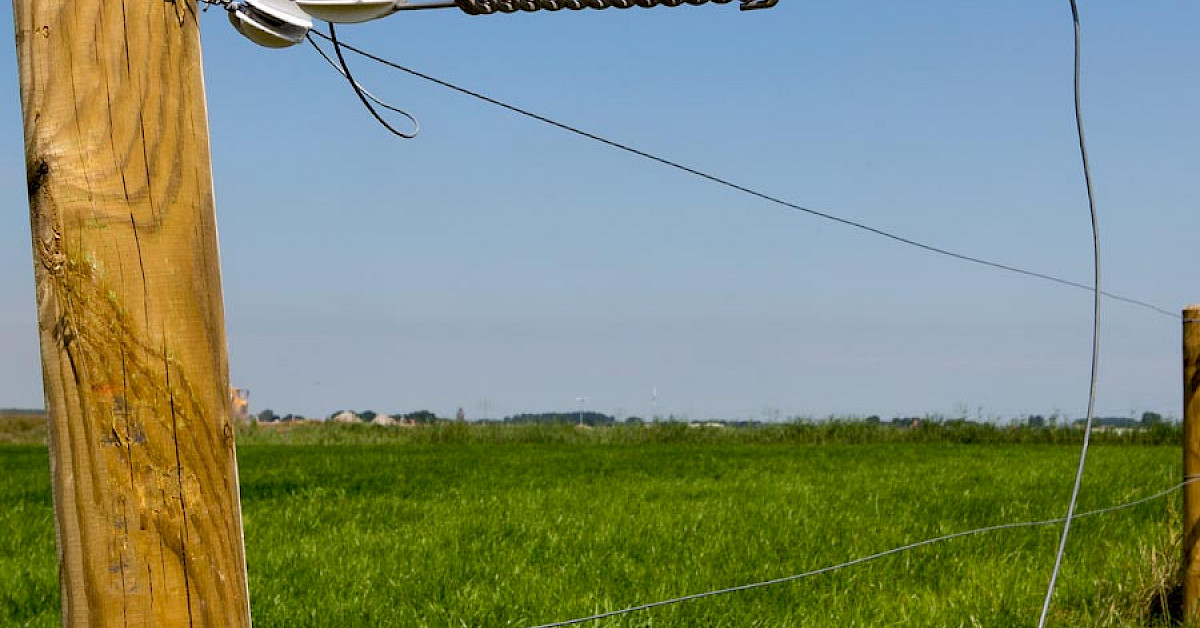 Gallagher trekveer (High Tensile draad 2,5mm/2,65mm) (Nr.: GAL036257)