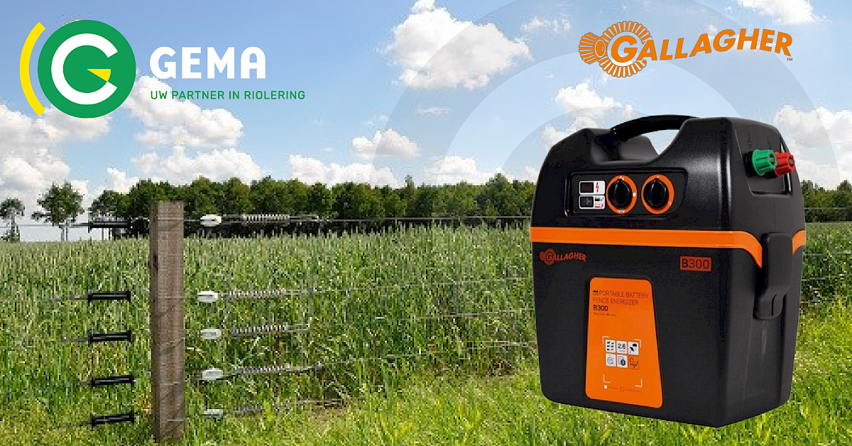 Gallagher B300 batterij-apparaat (12 V) (Nr.: GAL394008)