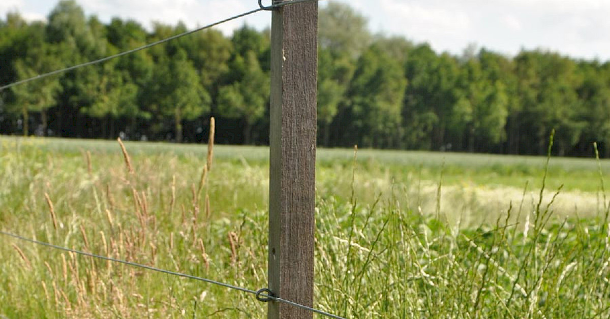 Gallagher / Elektrische afspanning